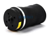 China Rear Air Spring Bag Mercedes Benz R Class W251 Suspension System Parts A2513200425 A2513200325 for sale