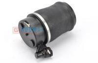 China Rear L / R Air Balloon Bag 3U2Z5580FA For Lincoln Mark VIII 1993-1998 V8 4.6 Liter for sale