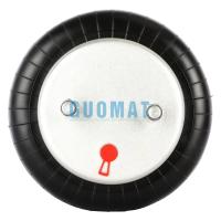 China Goodyear 2B9-250 Air Suspension Spring For Watson Chalin as-0041 for sale