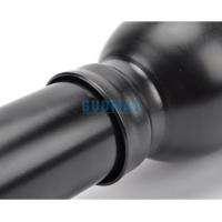 China Audi Air Suspension Parts 4Z7616051D Front Left/Right A6 C5 Air Shock Absorber Strut for sale