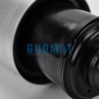China Customization RNB501580 Auto Spare Parts Land-Rover Discovery 3 Suspension Air Strut for sale