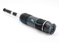 China Left Rear A2203206013  Hydraulic Shock Absorber / Suspension Air Spring 14.0 KG for sale
