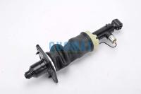 China 4Z7616051A Rear Left Complete Suspension Air Spring for Audi A6 C5 4B Allroad Quattro for sale