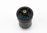 China W02-358-7206 Cab Air Shock Absorber For Freightliner OEM 18-29919-000 for sale