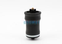 China W02-358-7206 Cab Air Shock Absorber For Freightliner OEM 18-29919-000 for sale