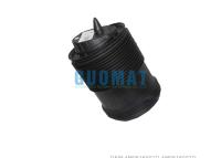 China 4M0616002P Air Spring Suspension For Audi Q7 ( 4M ) 201 5- 2018 Rear And Right for sale