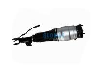 China KIA Hyundai Car Air Suspension Spring Shock 54611-3N500 546113N500 Front Left for sale