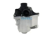 China Electric Water Pump 11517888885 for BMW 1 3 5 7 Series X3 X4 X5 X6 Z4 2007-2013 Models 2979cc Engine for sale