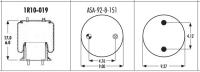 China Flxible 6-336-209 1R10-019 Goodyear Air Spring Flexmember 566-22-3-022 for sale