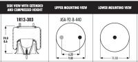 China Goodyear 1R12-303 Air Spring Bellows with Top Plate 3191 and Piston 9607 for Freightliner Trucks for sale