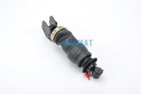 China French car Truck Parts Cabin Air Shock Absorber Spring For 5010615879 for sale