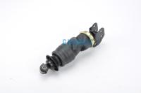 China French car Truck Parts Cabin Air Shock Absorber Spring For 5010615879 for sale