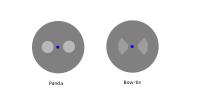 China Specialty Polarization Maintaining Optical Fiber Low Transmission Loss PM Fibers 1310 nm for sale