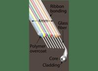 China 10 Gb/S Ribbon Optical Fiber Single Mode / Multimode 12 Fiber Ribbon Cable for sale