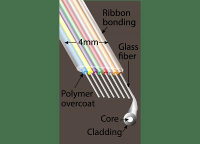China 10 Gb/S Ribbon Optical Fiber Single Mode / Multimode 12 Fiber Ribbon Cable for sale