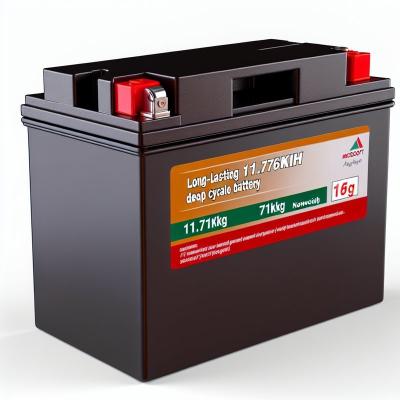 China 51.2V 230Ah Golf Cart LiFePO4 Battery with Smart BMS 11.8kWh for sale