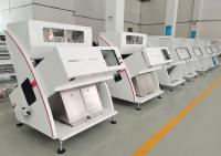 China 99.99% Accuracy Maize Color Sorting Machine 6000 Kg /H for sale