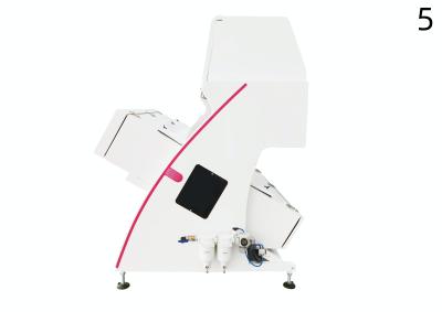 China 5 Chute 384 Channel Grain Rice Sorting Machine Automatic for sale