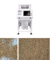 China 1 Chute Mini Agricultural Wheat RGB Color Sorter 64 Channels for sale