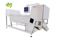 China 600mm Width Belt Color Sorter With Cashew Butt Size Soring for sale