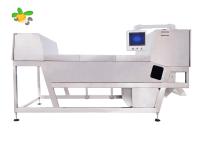 China 600mm Width Belt Color Sorter With Cashew Butt Size Soring for sale