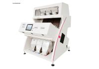 China Capacity 0.6 - 1.2t/H Garlic Flakes Color Sorter 192 Channel for sale
