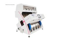 China Fenugreek Black Cumin Seeds Color Sorting Machine 4 Chute for sale