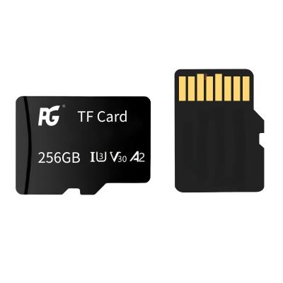 China 256GB Memory SD Card for Smart Watch and Driving Recorder V30 Video Speed Class Durable Plastic Material for sale