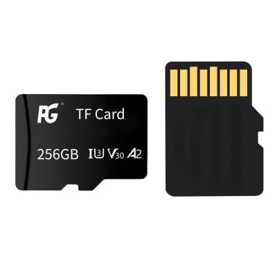 China PG Brand Industrial TF Card U3 SD Card 128GB 256GB for Tracking Dashcam 160mb/s High Speed TF Card for sale