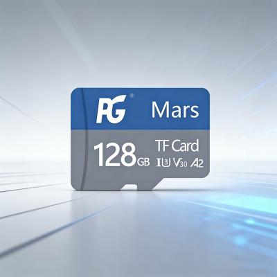 China TF Memory Card 24H Continuous Recording Memory Card High Durability Stable Storage For Security Camera for sale