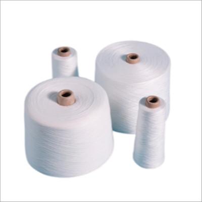 China 20/2 40/2 100% Polyester Core Spun Yarn Clothing and Shoes Factory Sewing for sale