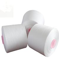 China Ticket No.120 100% Polyester Yarn For Sewing Thread 40S/2 for sale