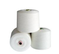 China High Tenacity 50/2 Raw White 100% Polyester Spun Yarn For Sewing Thread for sale