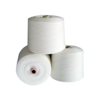 China Optical White Raw White Bleach White 100% Polyester Ring Spun Yarn for Textile Industry for sale