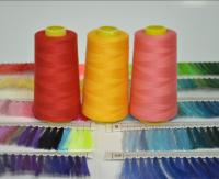 China Good Fastness Multi Color 40/2 Polyester Spun Sewing Thread for sale