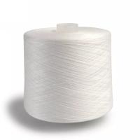 China 40/2 100% Yizheng Polyester Spun Polyester Yarn Sewing Thread  Eco - Friendly for sale