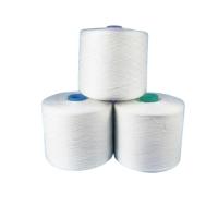 China 60 / 2， 60 / 3 Ring Spun Polyester Sewing Yarn With High Quality for sale
