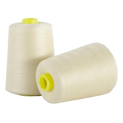 China 40/2 50/2 20/2 100% Spun Polyester Dyed Sewing Thread With Plastic Cone for sale