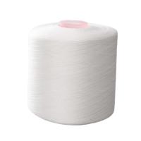 China Cheap Price 40/2 100% Polyester Spun Yarn For Sewing Thread AAA TKT NO.120 for sale