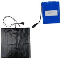 China Custom 12V 10Ah Battery Heating Pads Set PVC Pad 35x35cm for Pizza Delivery Bag for sale