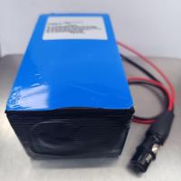 China Custom Battery Pack 18650 7s4p 24V 10ah Battery for Golf Trolley for sale