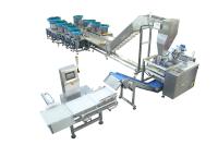China Ware Fittings Kit Horizontal Pillow Packing Machine OEM Voltage 220V for sale