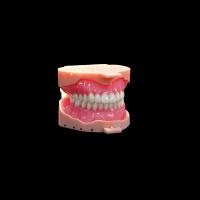 China Dental Implants Removable Dentures Digital Complete Denture Milling Natural Looking for sale