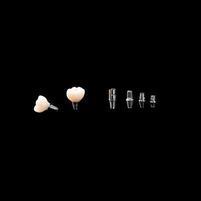 China Metallic Implant Crown Bridge Natural Zirconia Full Contour Crown With Titanium Abutment for sale