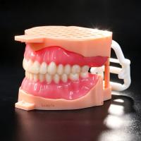China Lucitone 199 Full Denture Light Pink Full Removable Dentures for sale