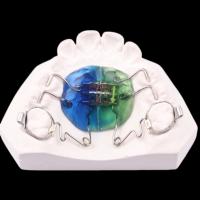China FDA Pendulum Appliance Orthodontics Pendulum Ortho Appliance Customizable for sale