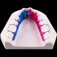 China Removable Bidirectional Teeth Palate Expander Orthodontics Appliance for sale