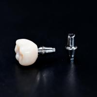China CAD / CAM Implant Crown Bridge High Esthetics Zirconia Crown for sale