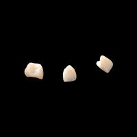 China Precise Fit Full Contour Zirconia Bridge Natural Zirconia Crown Bridge High Strength for sale