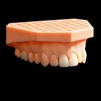 China High Esthetics Full Contour Crown Dental Zirconia Bridge CE And FDA Approval for sale